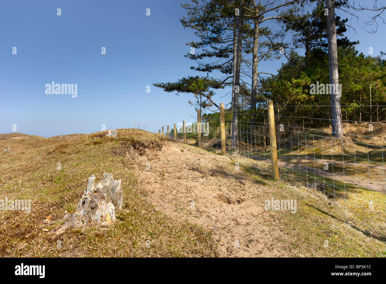 Sefton Coast Dunes High Resolution Stock Photography and Images - Alamy