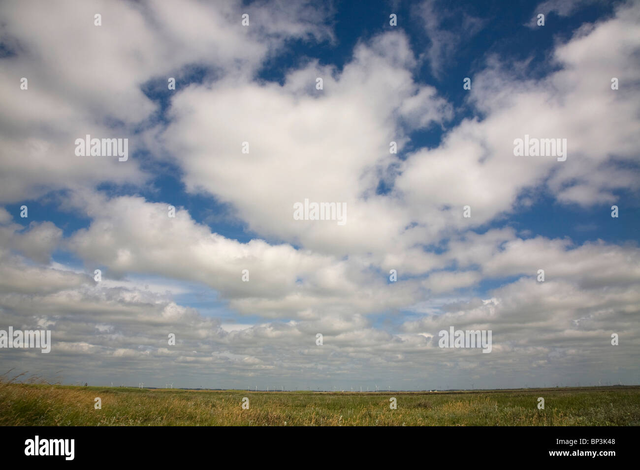 North german plains hi-res stock photography and images - Alamy
