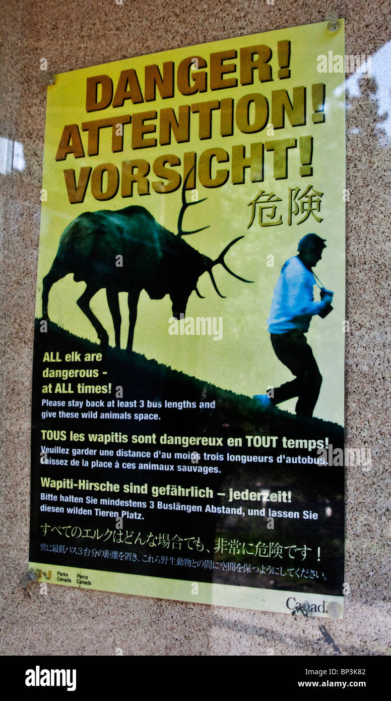 Caution poster showing bull elk charging a photographer Stock Photo - Alamy