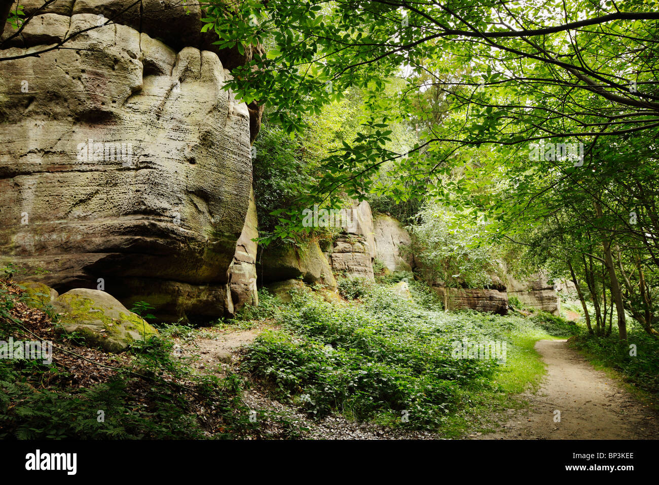 Eridge hi-res stock photography and images - Alamy