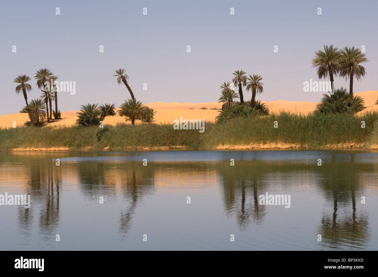 Umm El Ma lake, Erg Awbari, Sahara desert, Fezzan, Libya Stock Photo ...