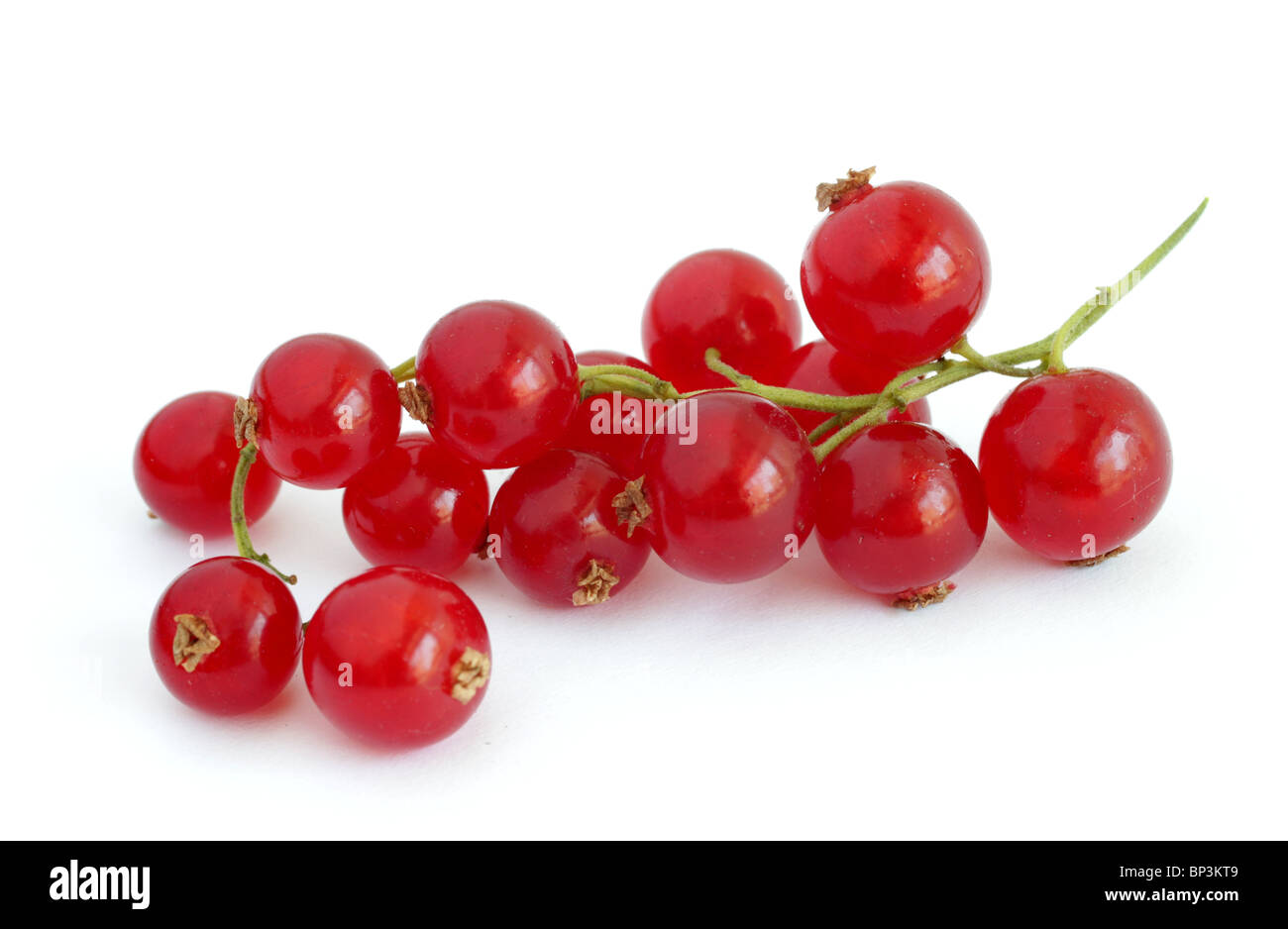 Red white currants hi-res stock photography and images - Alamy