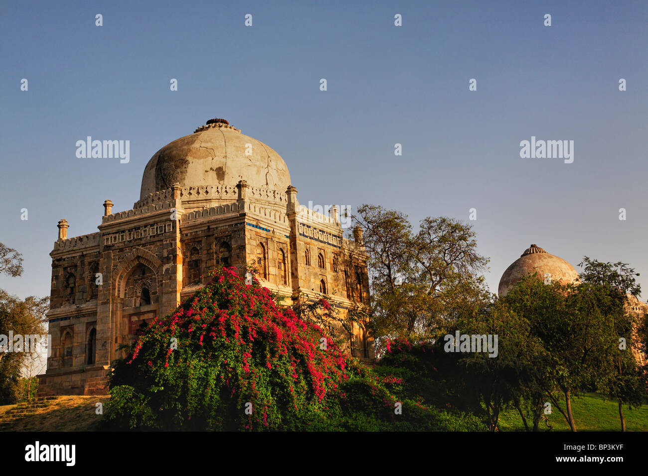 Mosque of Sheesh Gumbad, Lodhi Gardens, New Delhi, India Stock Photo ...