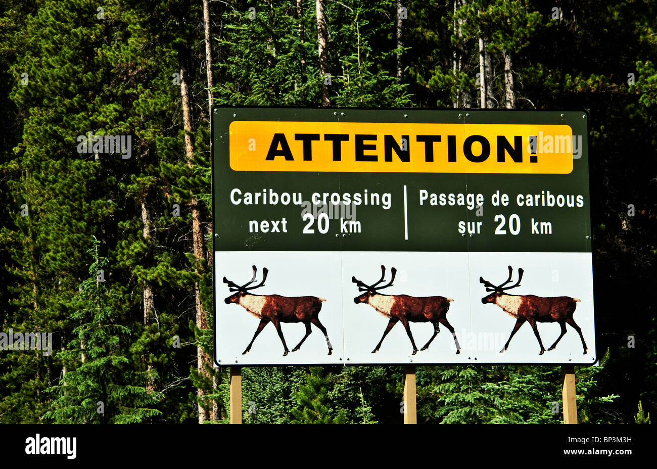 Caribou crossing sign, Canada Stock Photo - Alamy