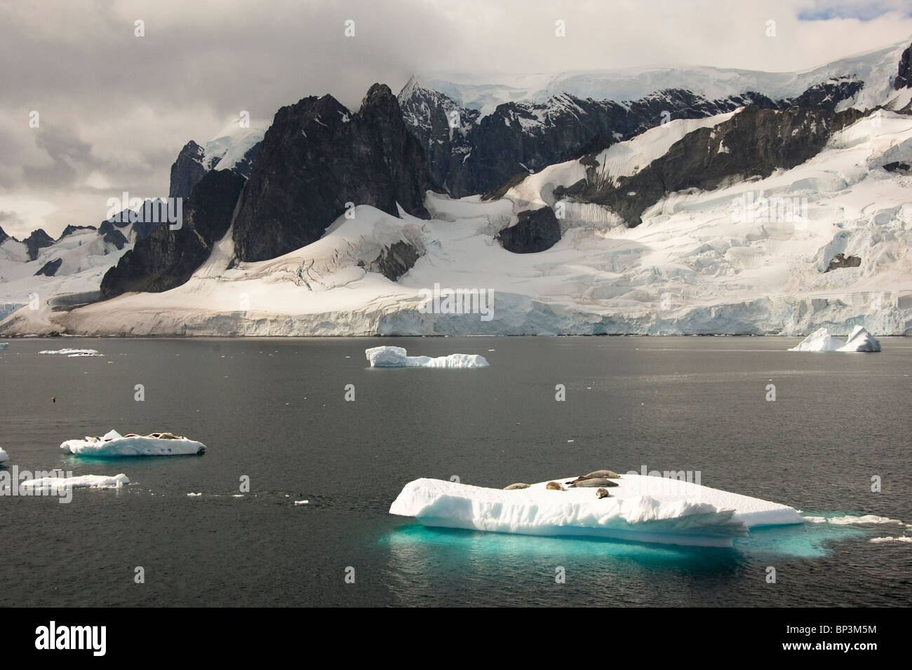 Icebergs and Mountain Landscape in Antarctica Stock Photo - Alamy