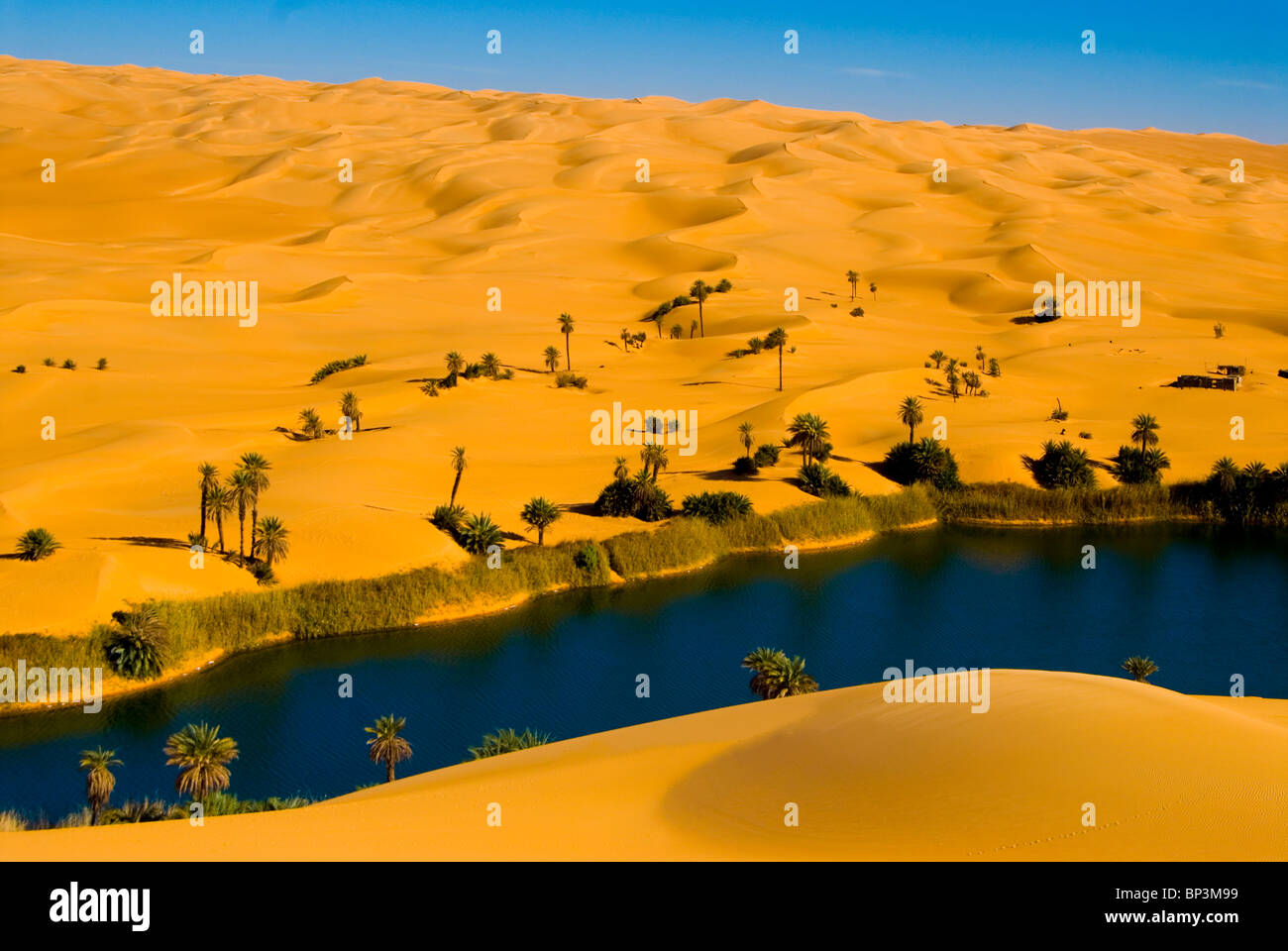 Libya, Fezzan, desert Erg Ubari, Umm el Maa lake Stock Photo - Alamy