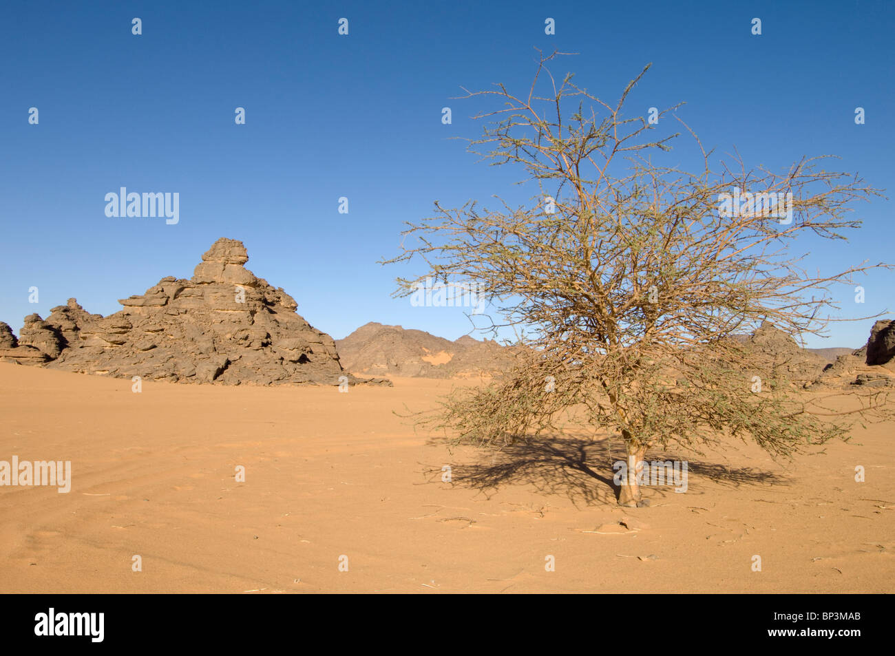 Akakus, Sahara desert, Fezzan, Libya Stock Photo - Alamy