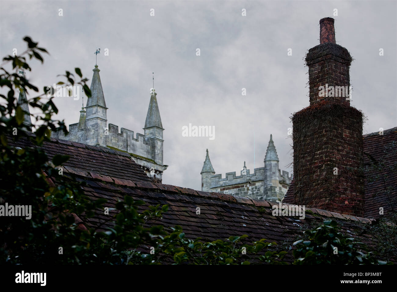 view across the rooftops of Wimborne Minster seen in autumn Stock Photo ...