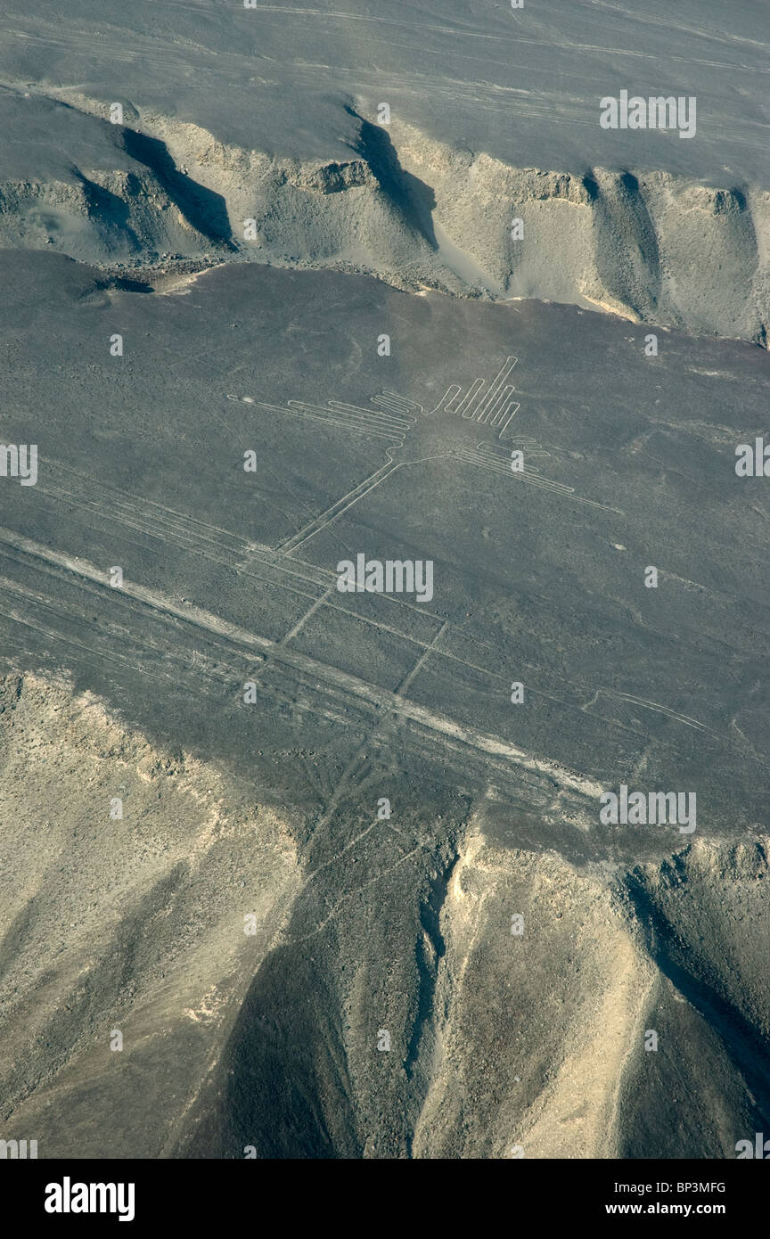 The Hummingbird geoglyph figure of the Nazca Lines in the Pampas de ...