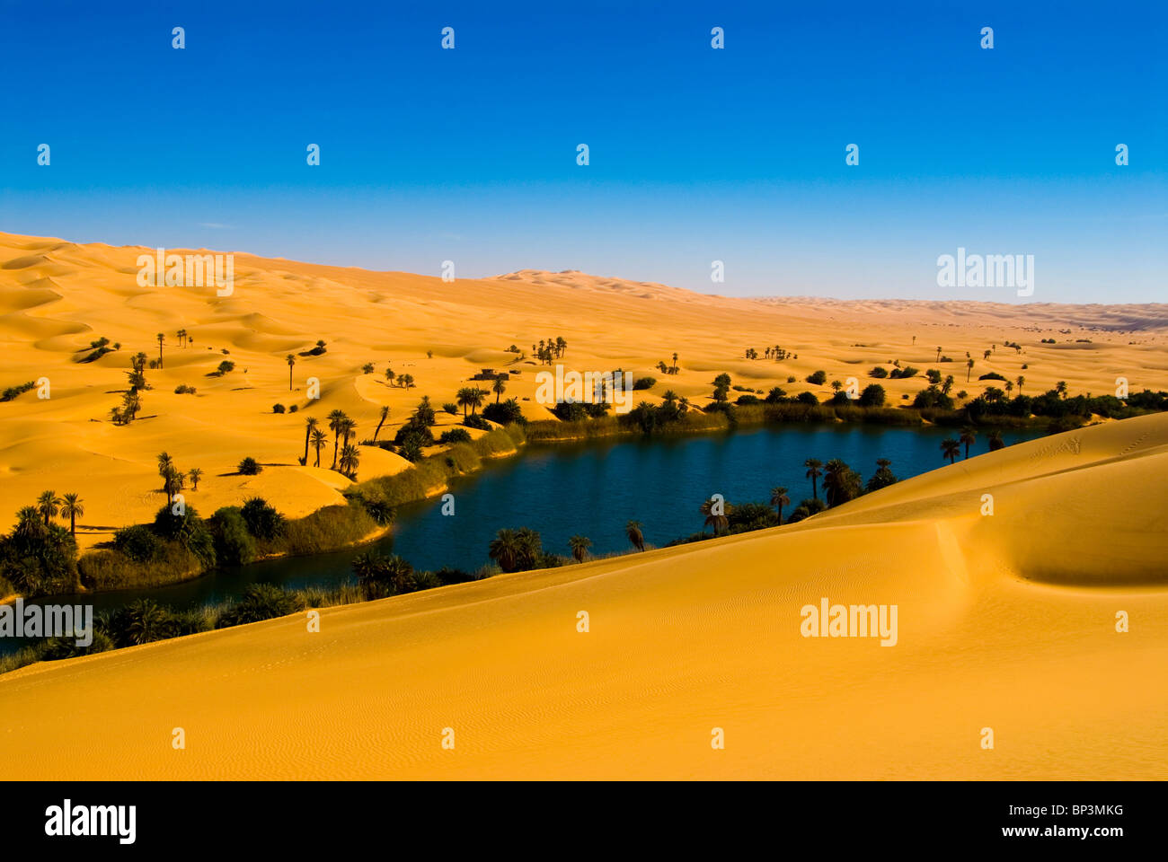 Libya, Fezzan, desert Erg Ubari, Umm el Maa lake Stock Photo - Alamy