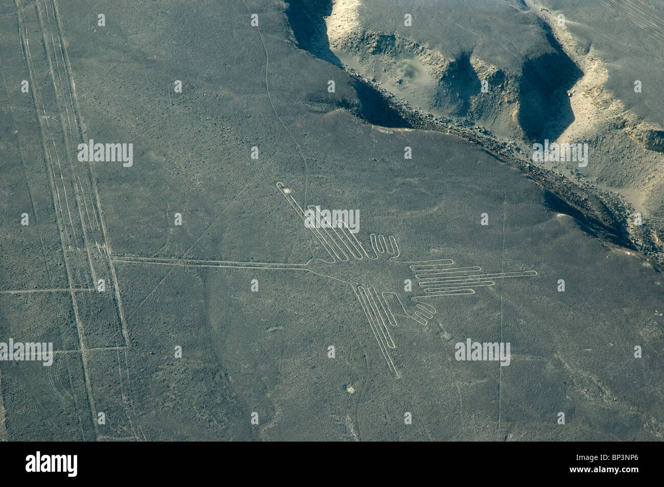 The Hummingbird geoglyph figure of the Nazca Lines in the Pampas de ...