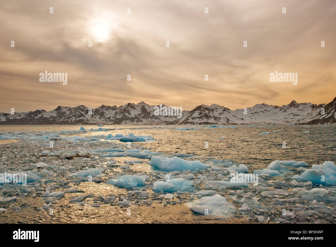 UK Territory, South Georgia Island. Mellow sunset reflects on water and ...