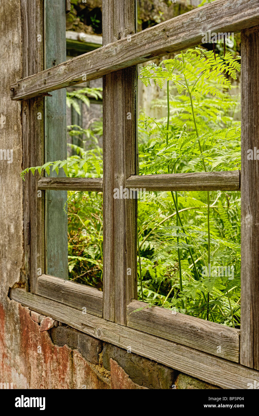 Broken out window and weeds growing, Fuli Village, Yangshuo, China ...