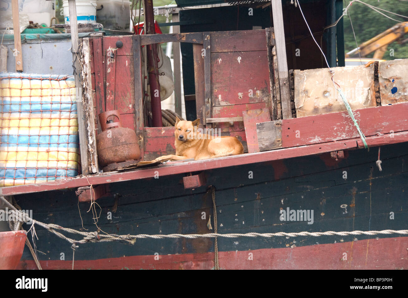 Chinese sampan junk boat hi-res stock photography and images - Alamy