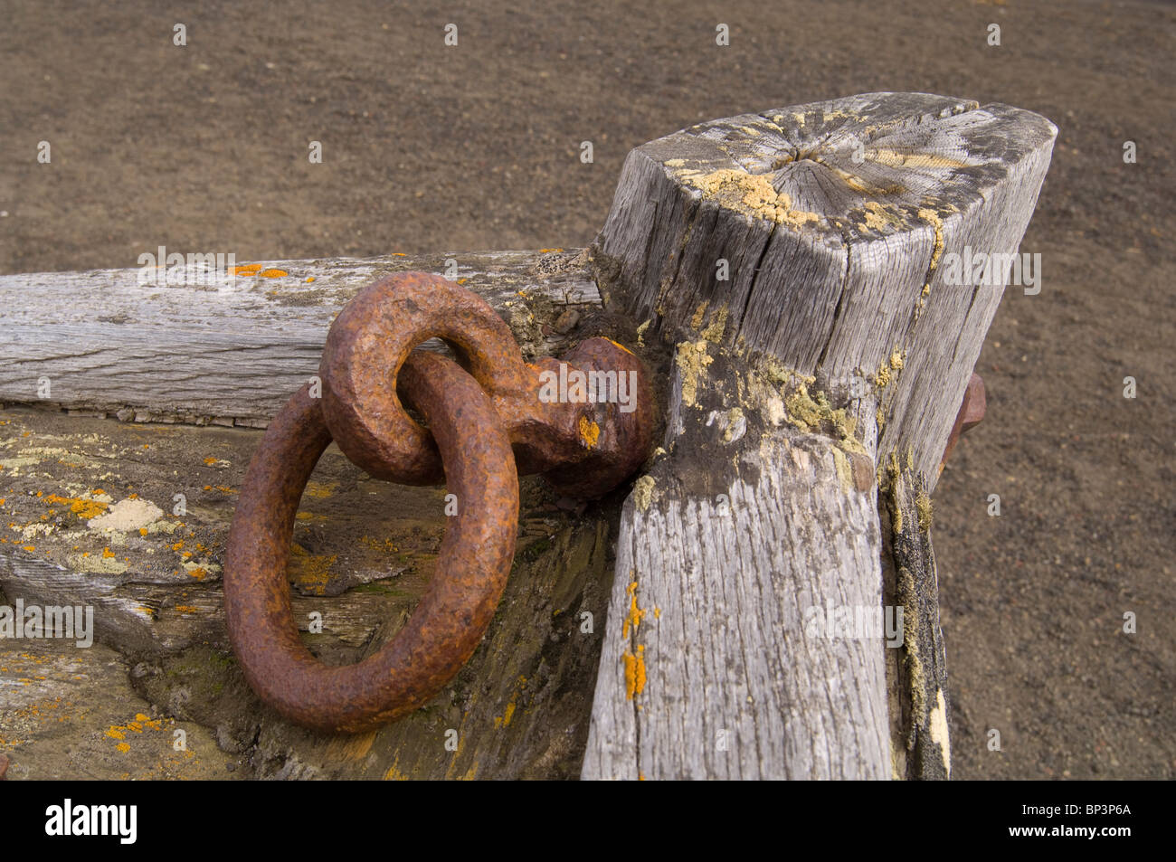 Antarctica, South Shetlands Islands, Deception Island, Telephone Bay ...