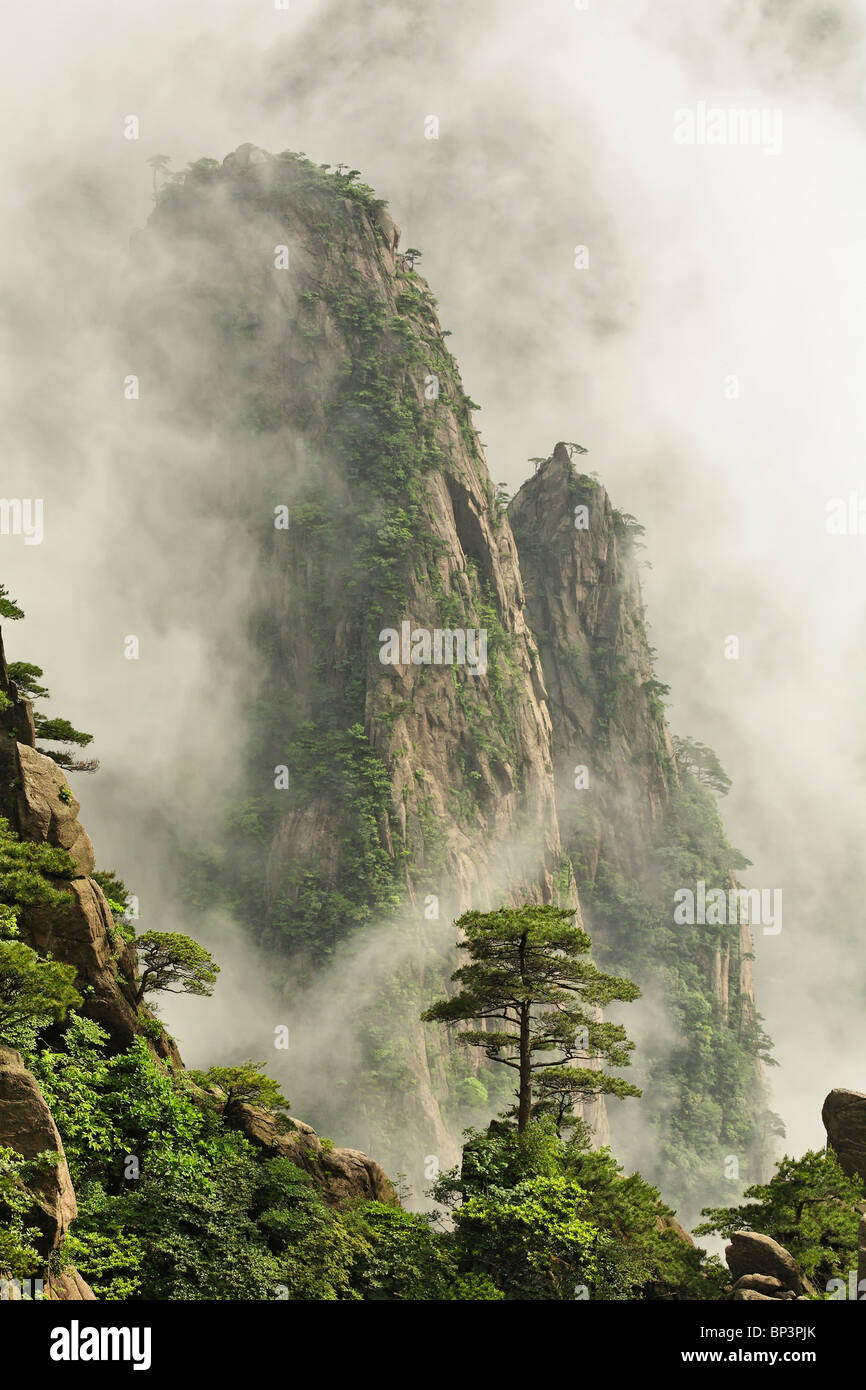 Mist among the peaks and valleys of Grand Canyon in West Sea, Mt. Huang ...