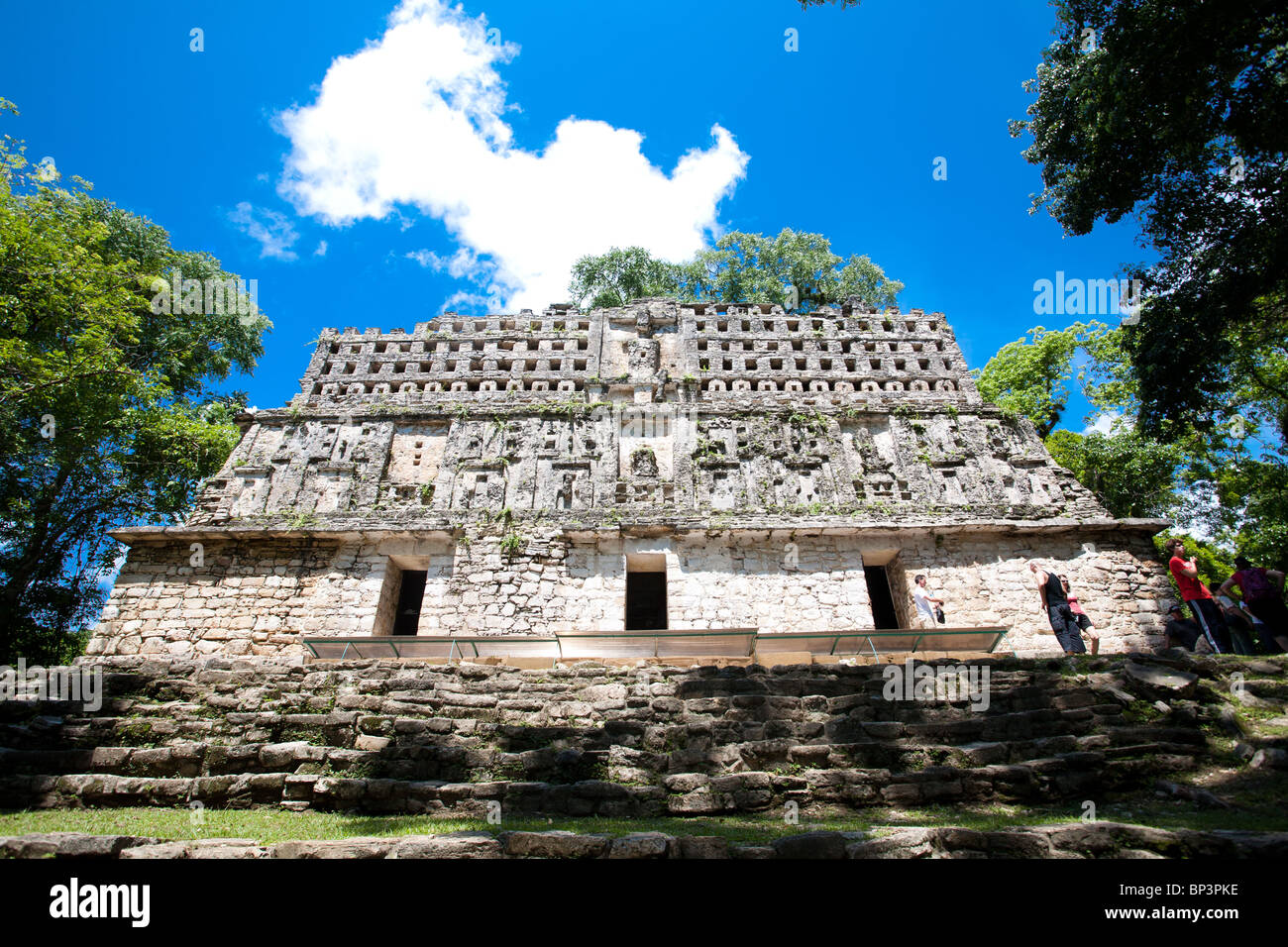 Temple 33 in Yaxchilan Archeological site in Chiapas, Mexico Stock ...