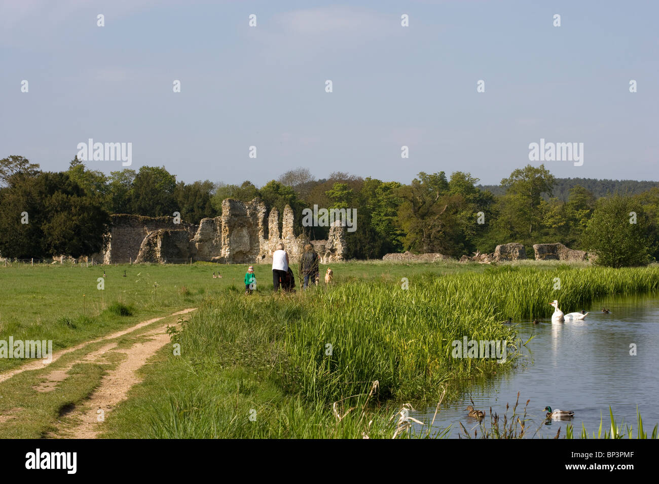 Waverley abbey hi-res stock photography and images - Alamy