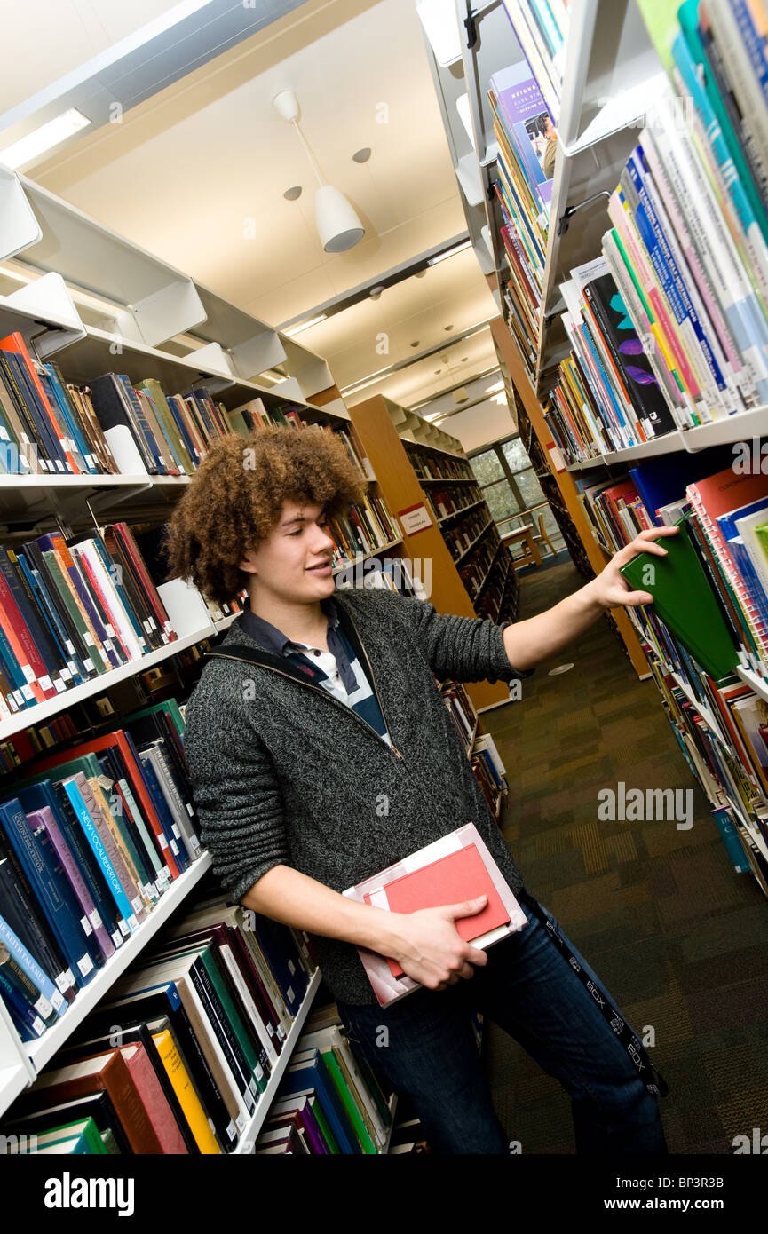 Students studying in a University library Stock Photo - Alamy