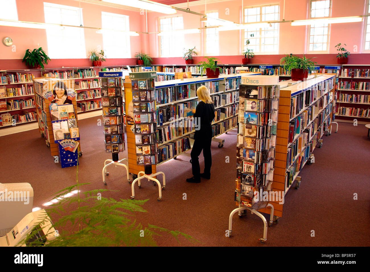 UK, Cheshire, Stockport, Town Centre, Edgeley Library user browsing ...