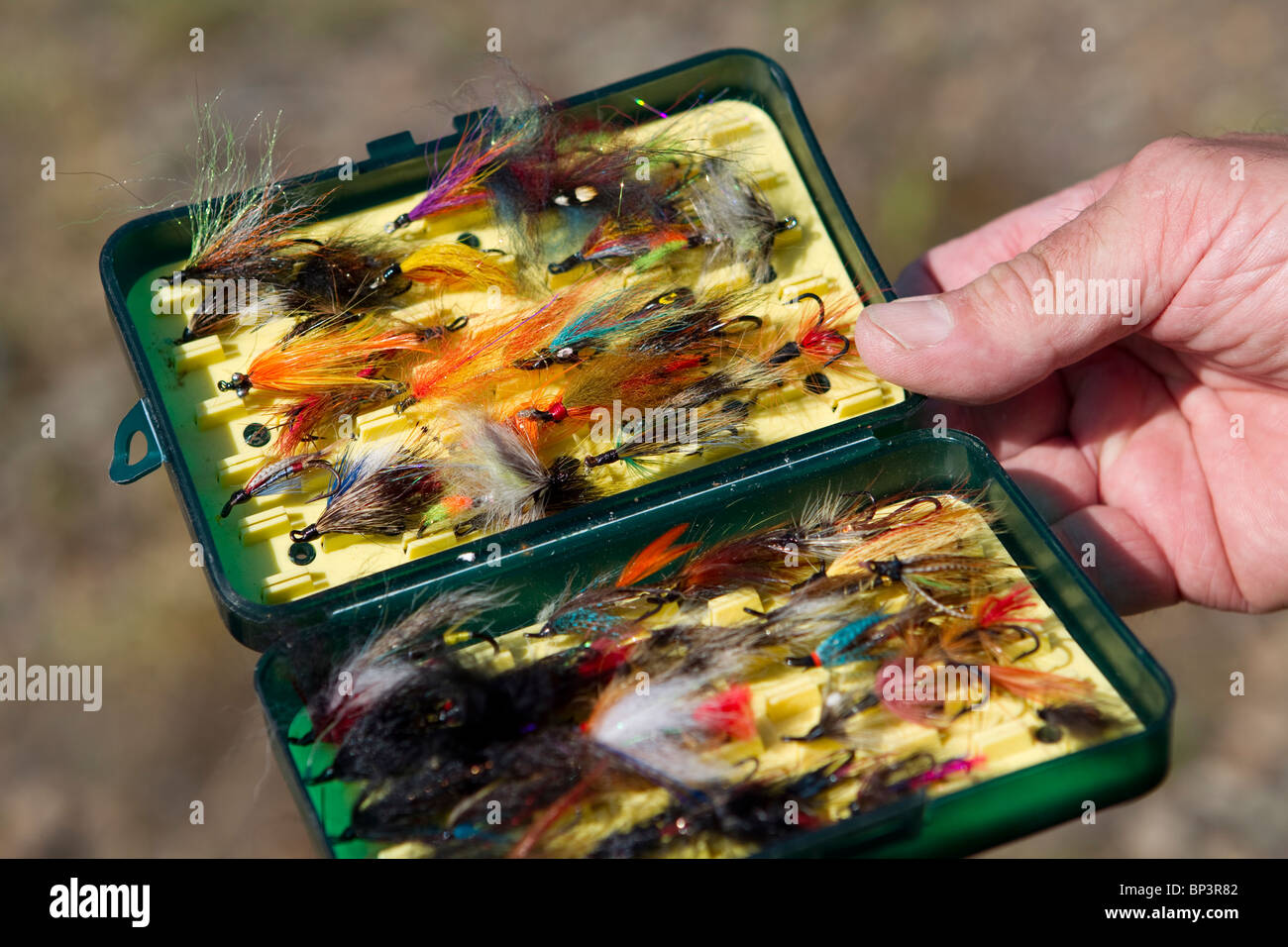 Salmon Flies High Resolution Stock Photography and Images - Alamy