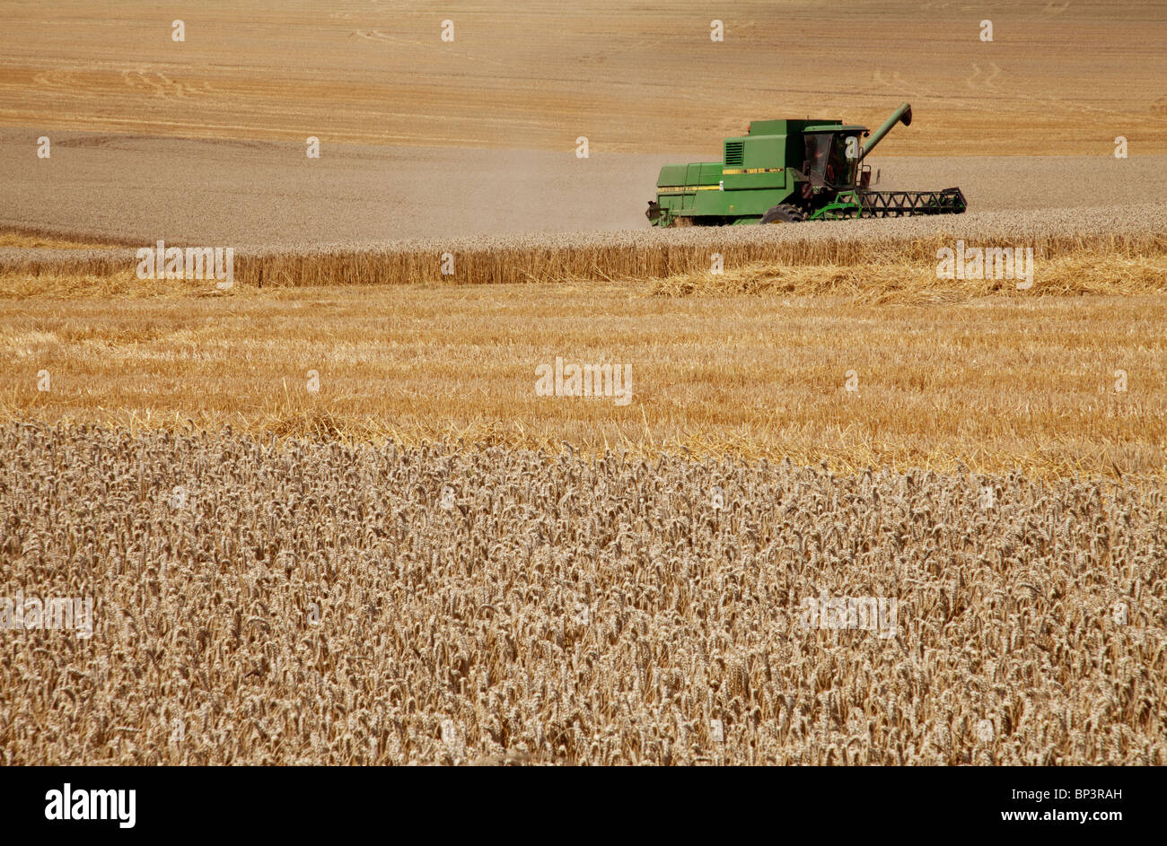 Combine harvesting field wheat hi-res stock photography and images - Alamy