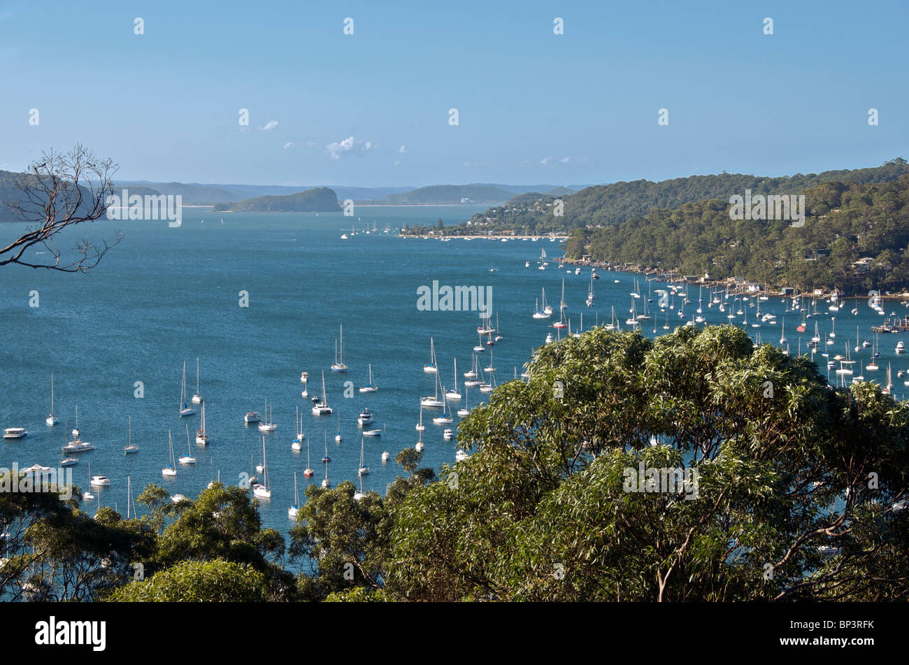 Pittwater looking toward Clareville and Lion Island Northern Beaches ...