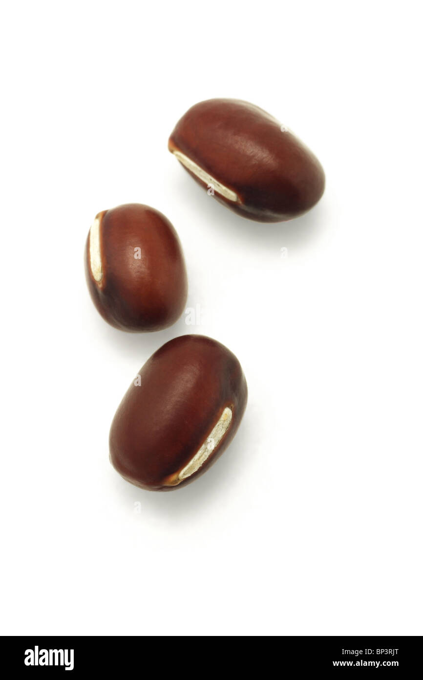 Three red beans on white background Stock Photo - Alamy