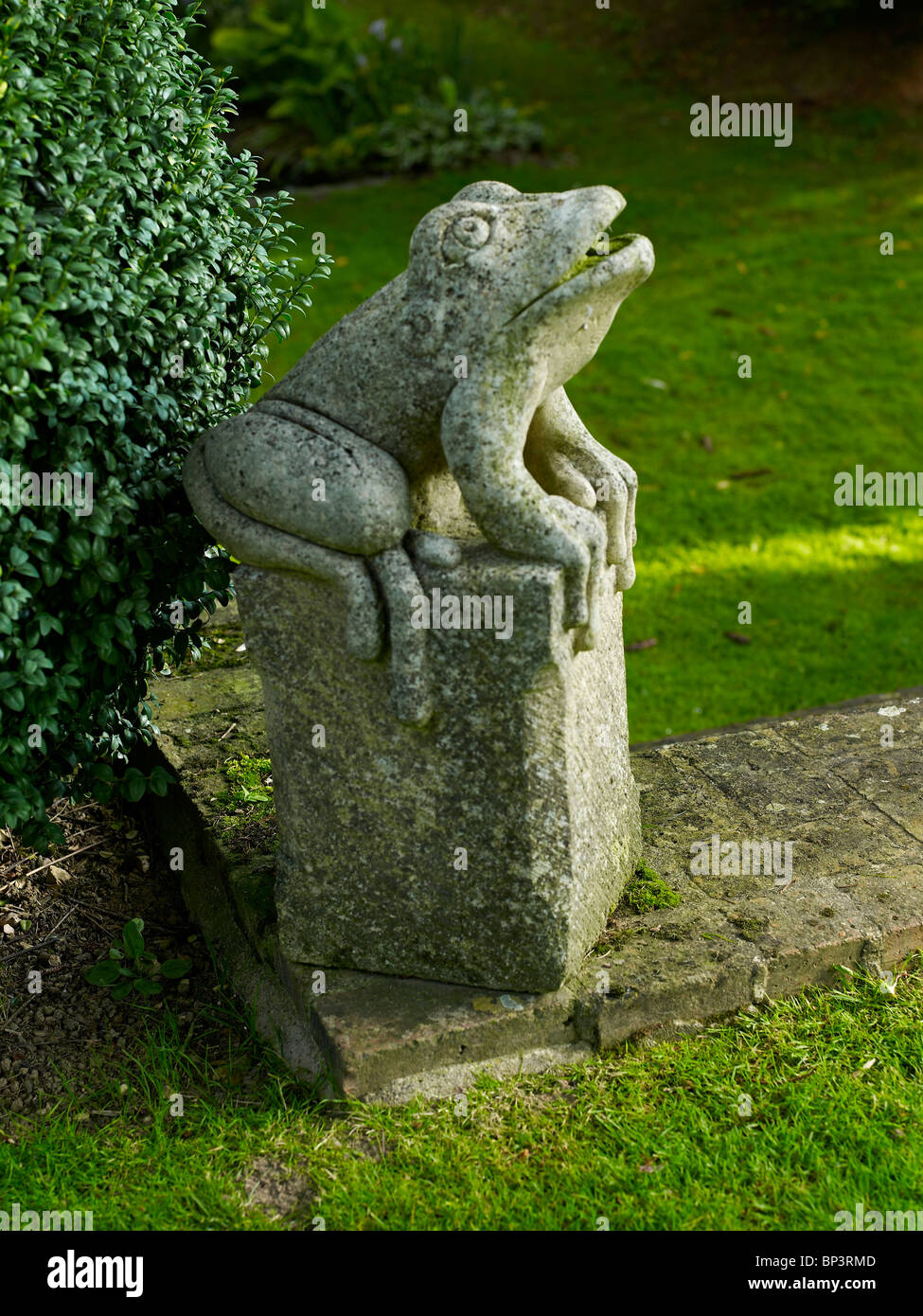 Sculpture of a frog hi-res stock photography and images - Alamy