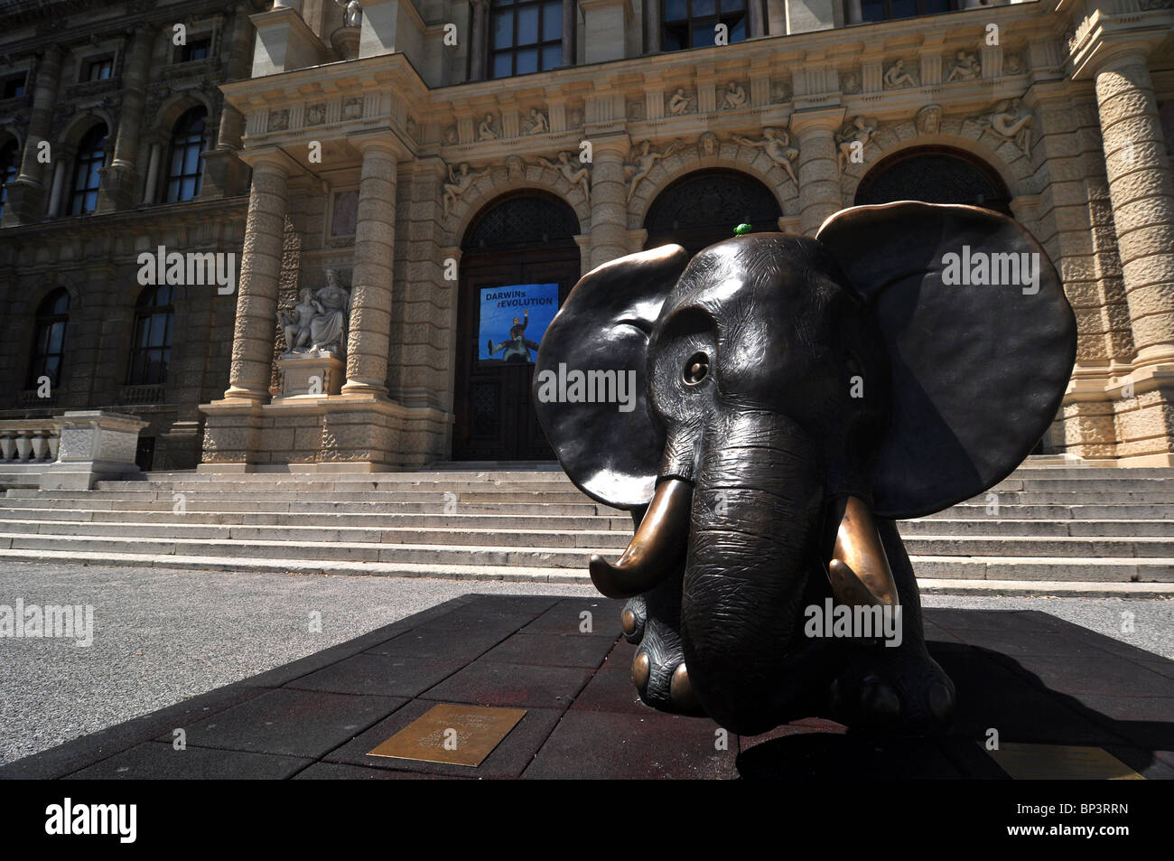 Elephant capital hi-res stock photography and images - Alamy