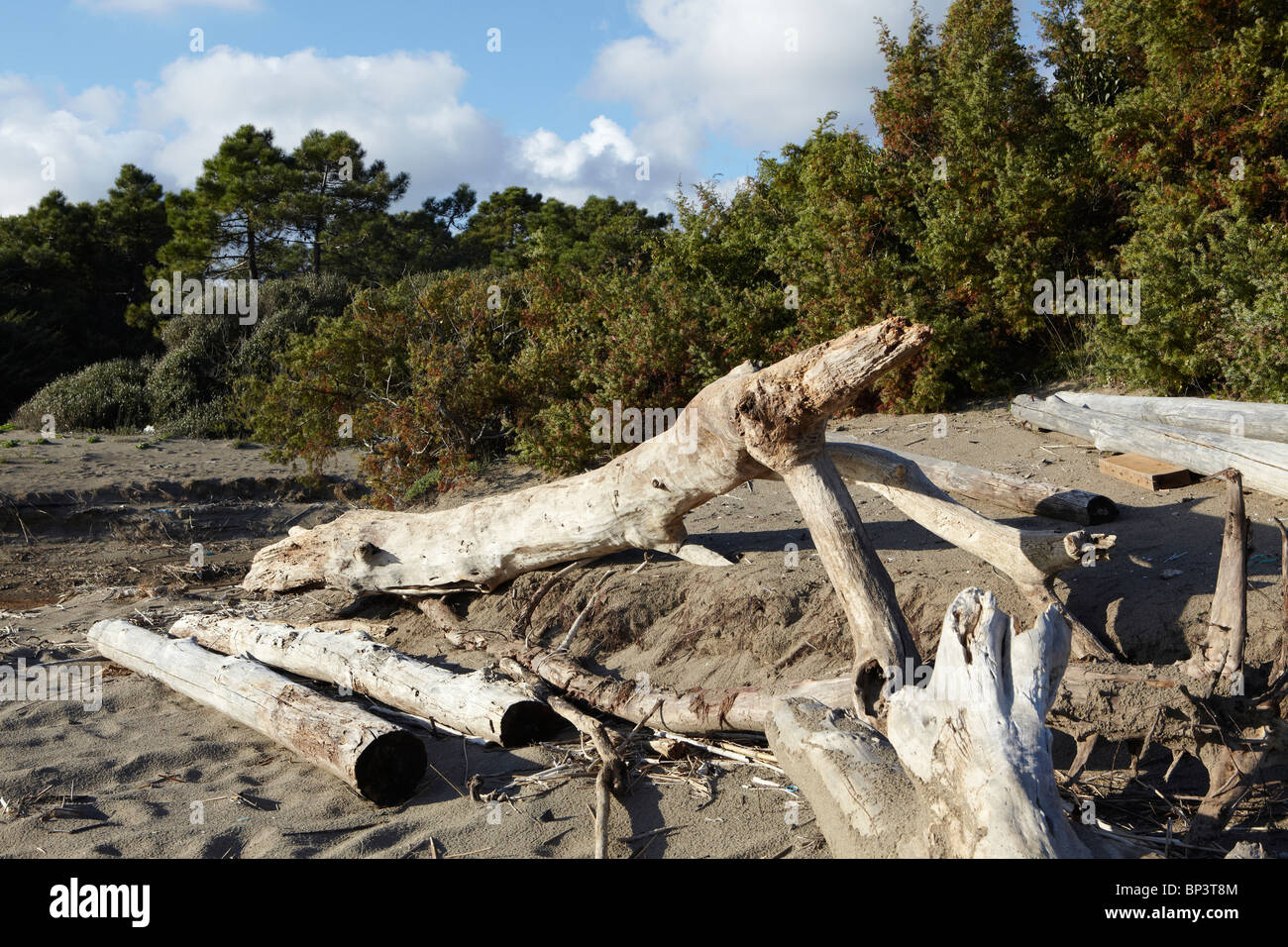 Beautiful beach in follonica italy hi-res stock photography and images ...