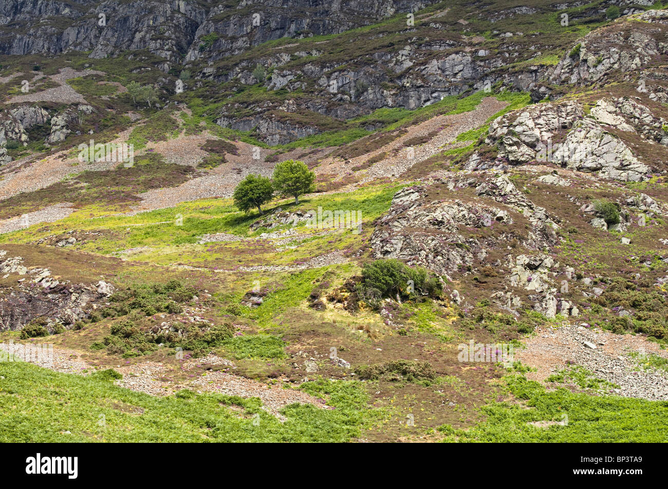 Steep slope of a Lake District Fell, with scree and a succession of ...