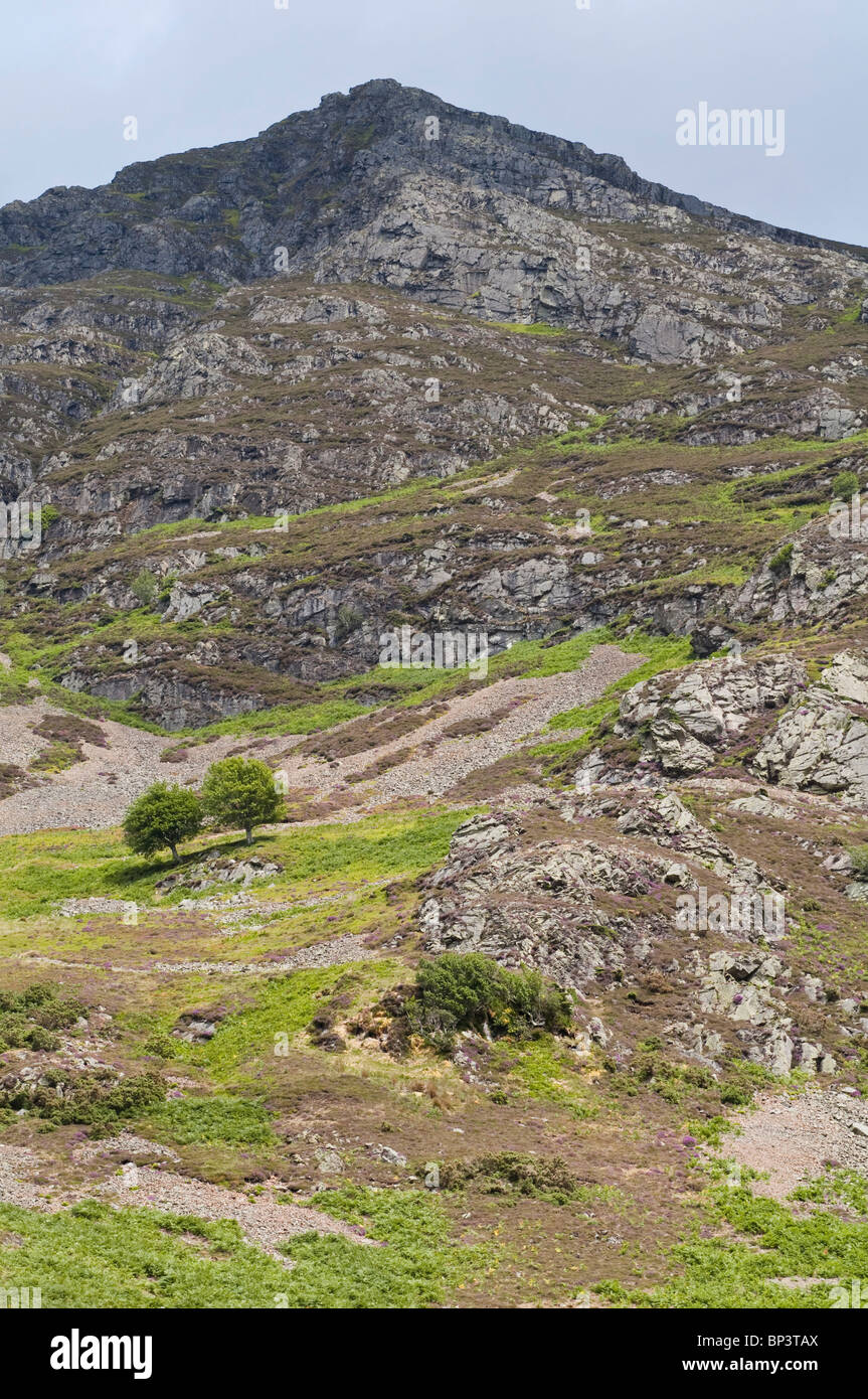 Steep slope of a Lake District Fell with scree and a succession of ...