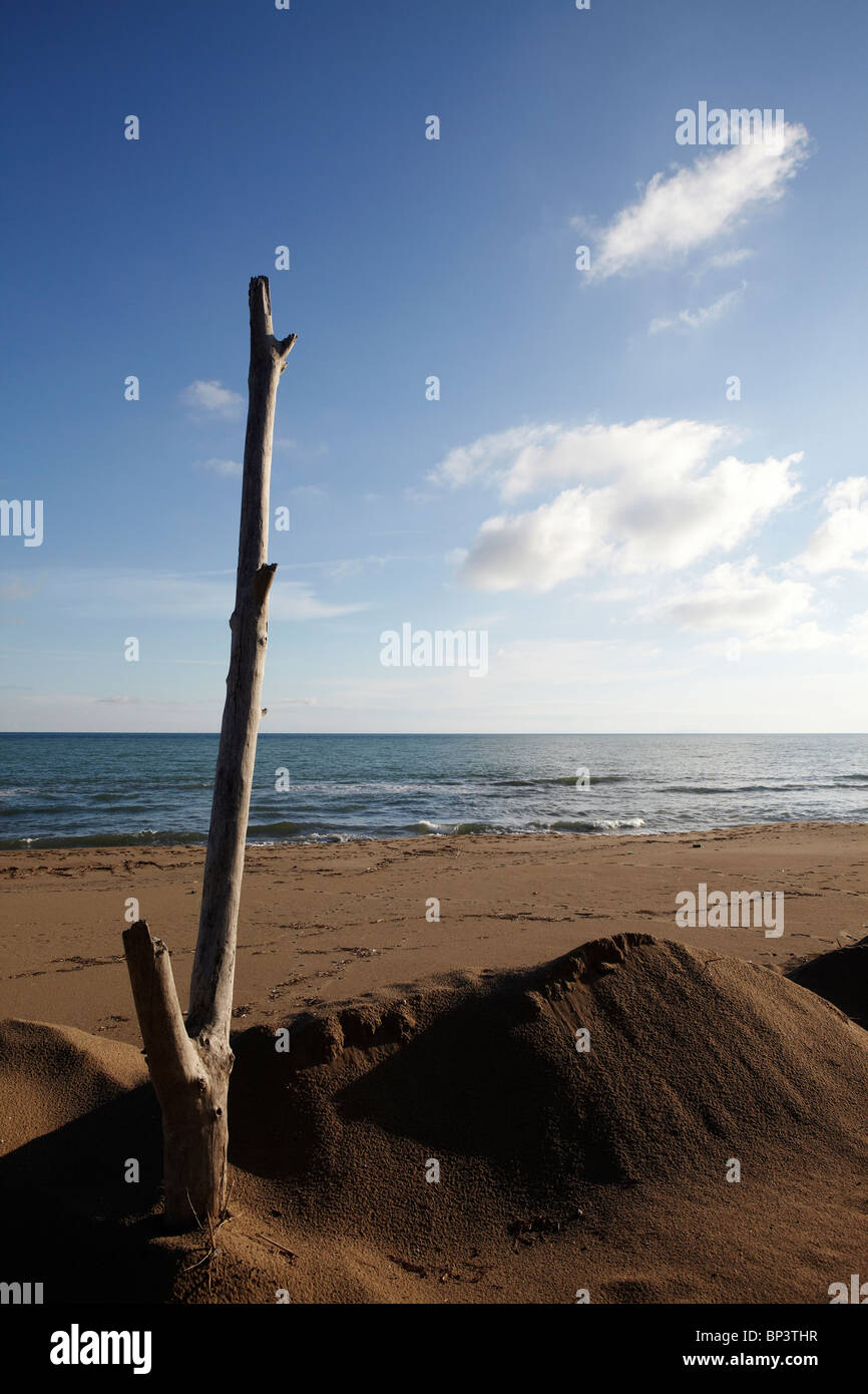 Beautiful beach in follonica italy hi-res stock photography and images ...