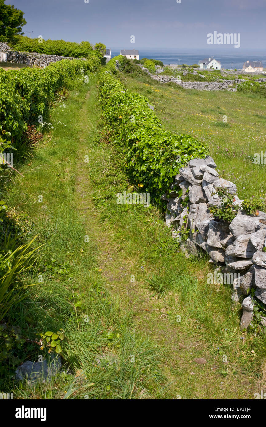 Old pathway through small limestone-walled old fields on Inisheer (Inis ...