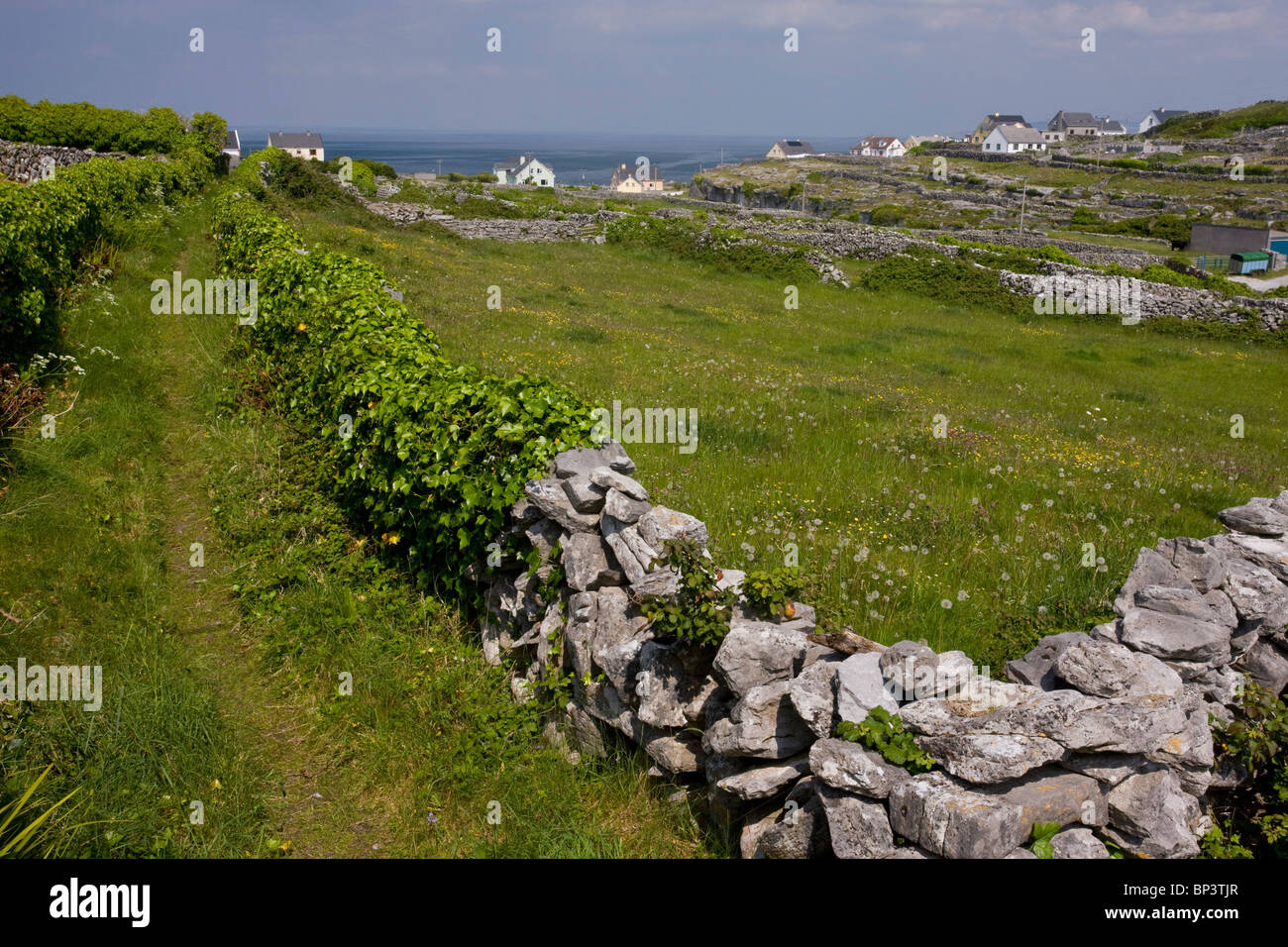 Old pathway hi-res stock photography and images - Alamy