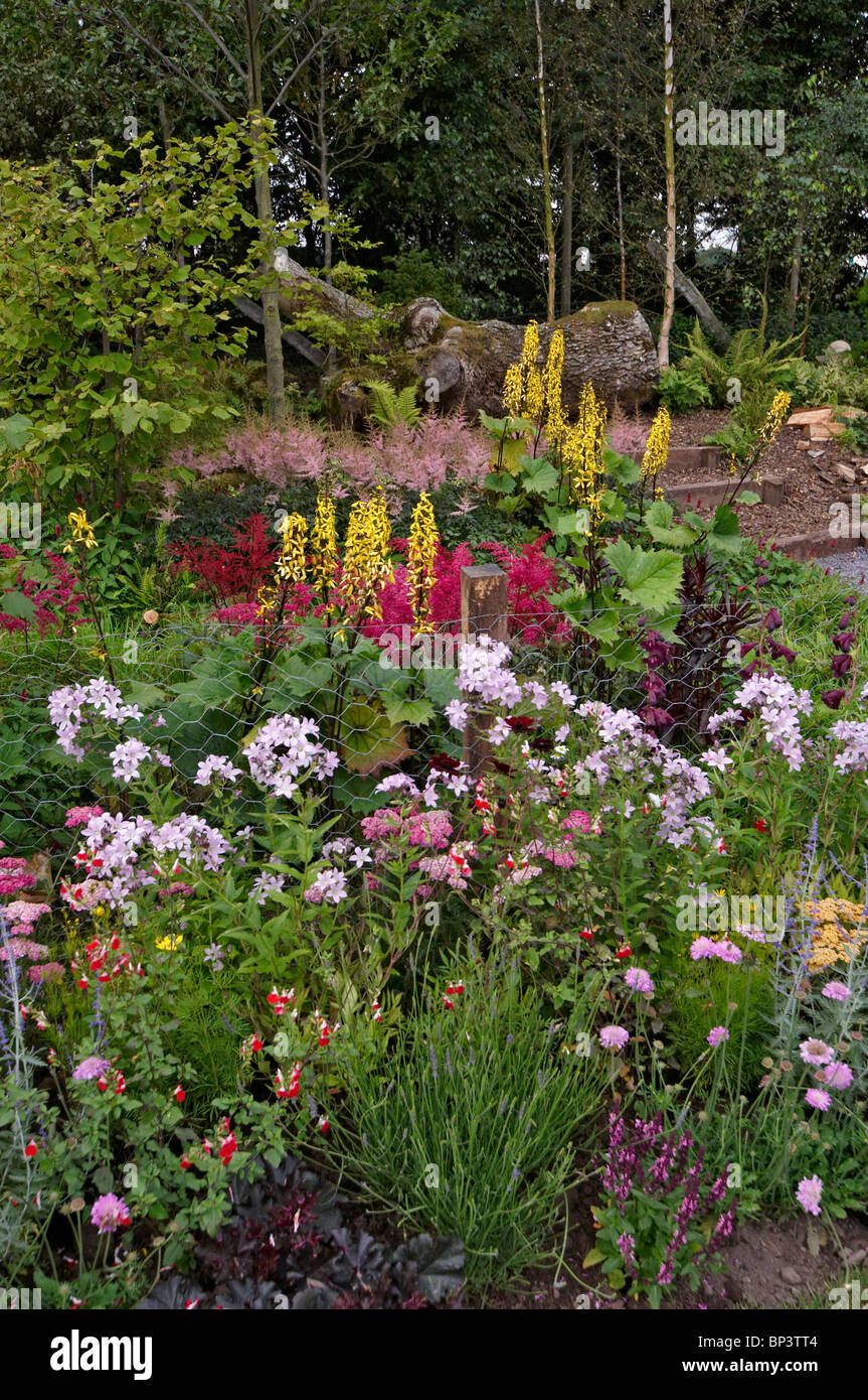 A colourful mixed flower border in a cottage garden Stock Photo - Alamy