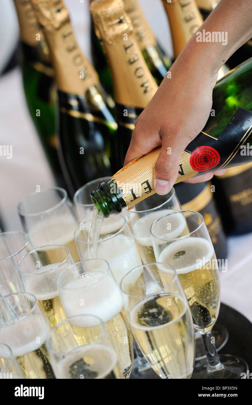 Bottles of Moet Chandon champagne at a reception party Stock Photo - Alamy