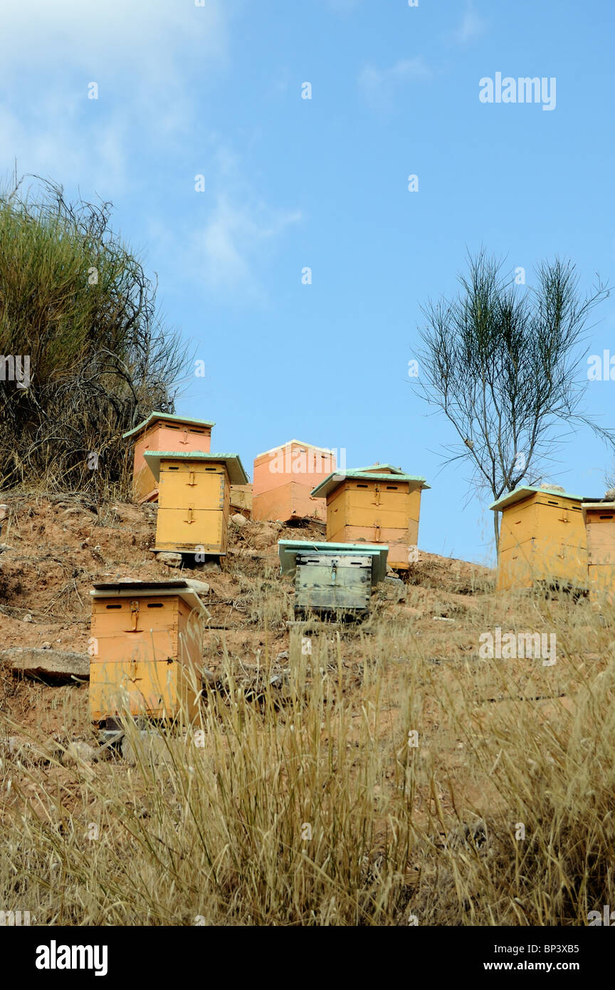 Wooden man made beehive boxes in a forest. Honey production Stock Photo ...