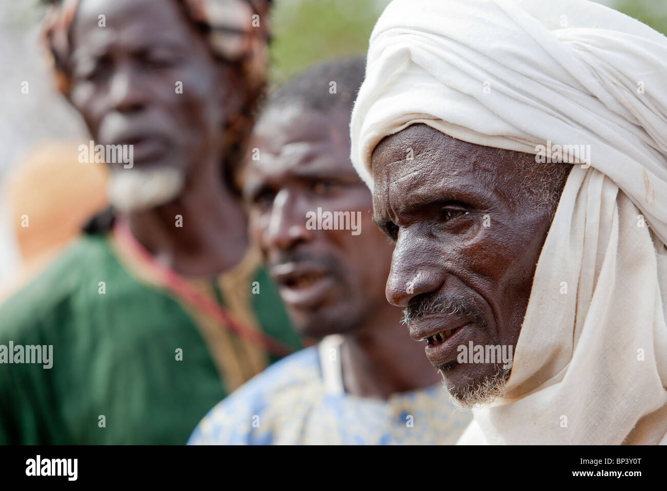 Thin cattle hi-res stock photography and images - Alamy