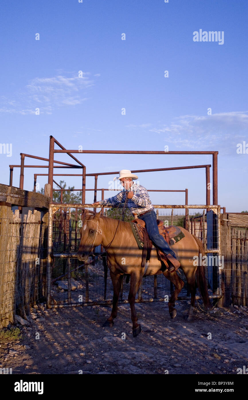 Cowboy Closing the Gate/Fence Stock Photo - Alamy