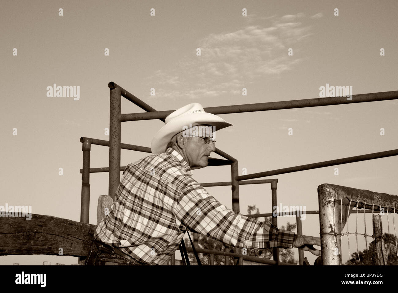 Cowboy in Corral Stock Photo - Alamy