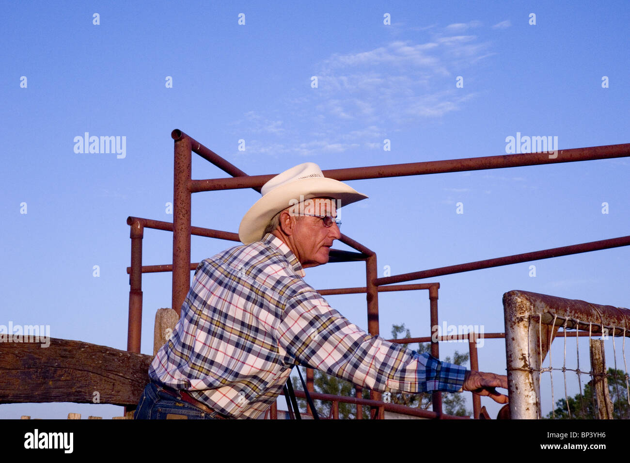 Cowboy Working a Gate Stock Photo - Alamy