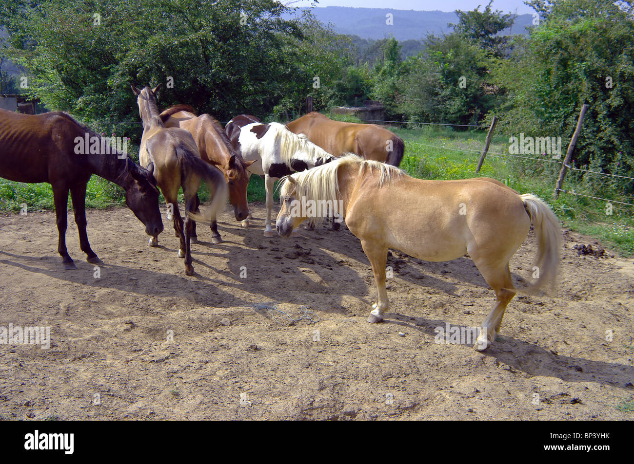 Ecological farms hi-res stock photography and images - Alamy