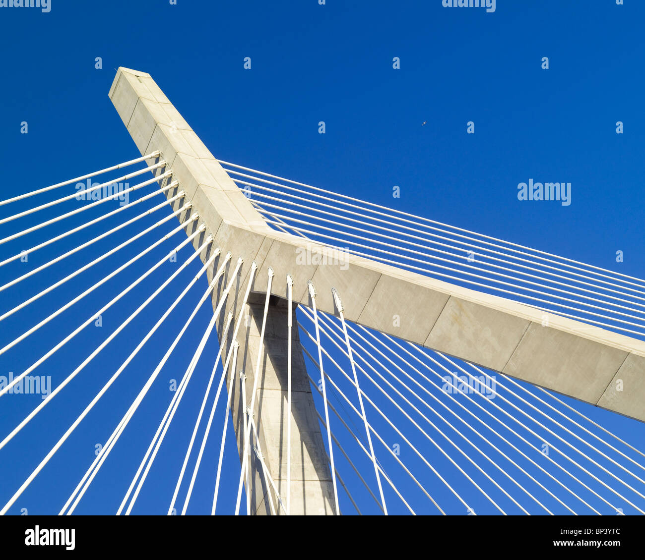 Bridge with cables hi-res stock photography and images - Alamy