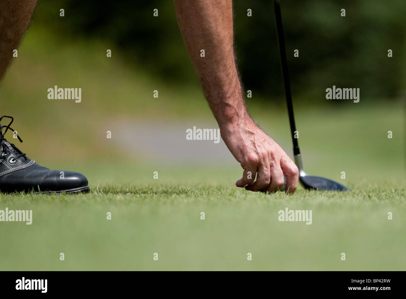 A man tees up his golf ball in preparation for a drive Stock Photo - Alamy