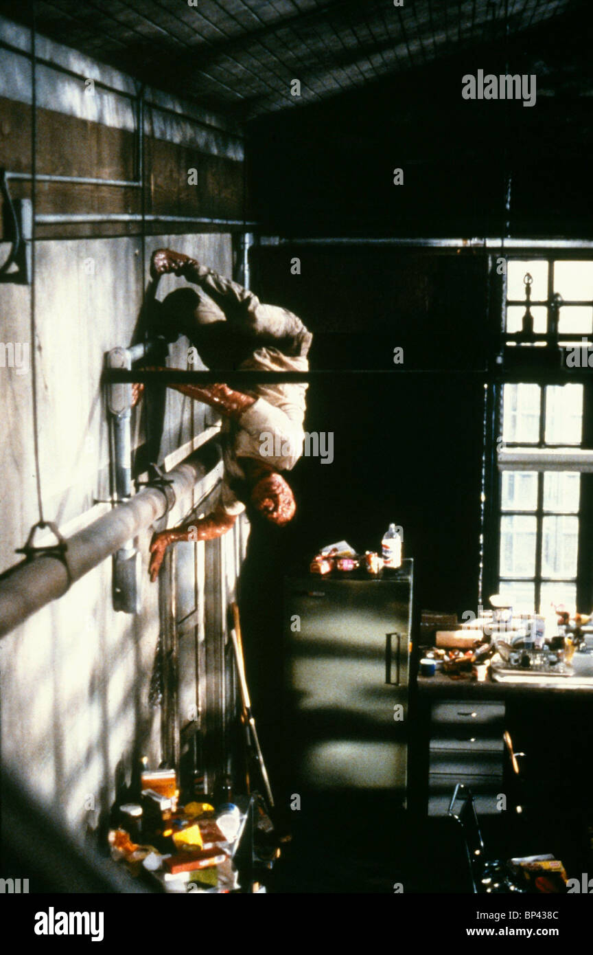 Brundle Fly Stock Photos & Brundle Fly Stock Images - Alamy