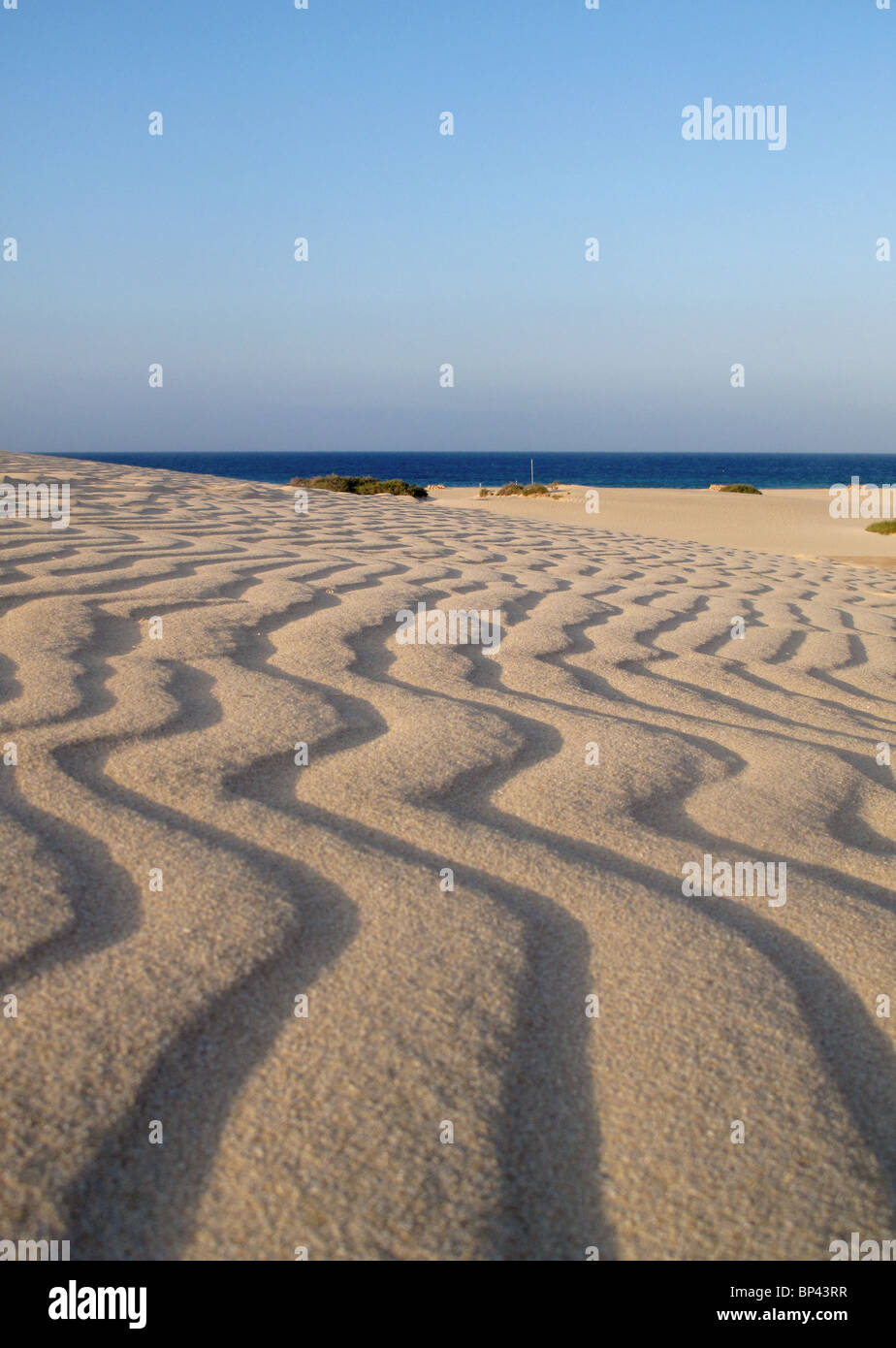 Wind blown sand texture hi-res stock photography and images - Alamy