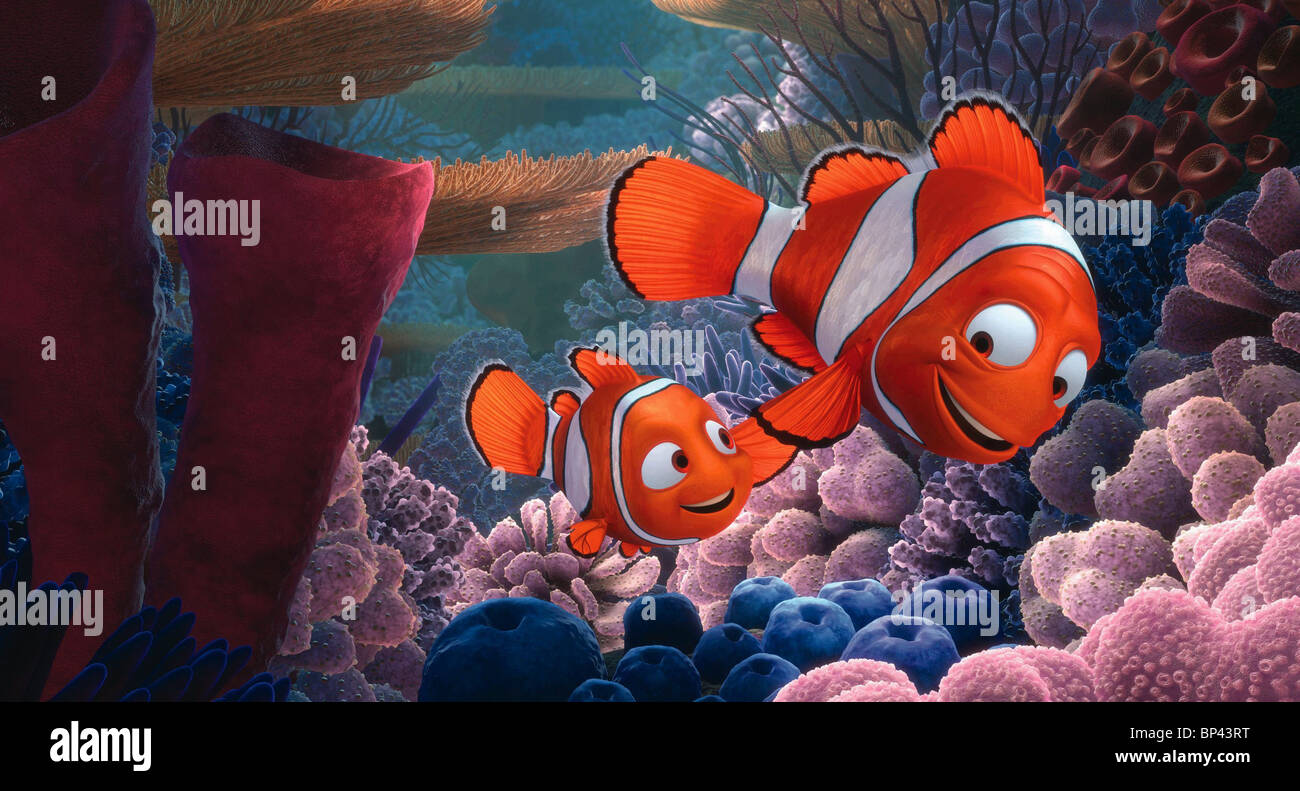 Finding Nemo Marlin High Resolution Stock Photography and Images - Alamy