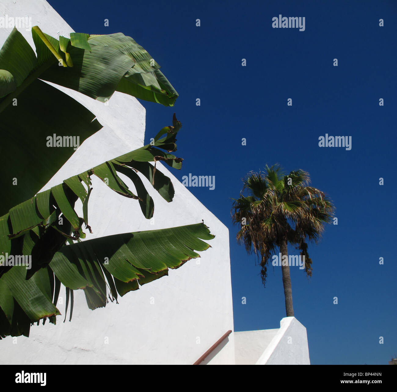 Tropical apartment hi-res stock photography and images - Alamy